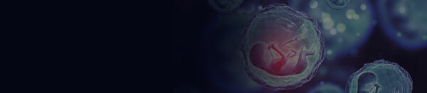 Best Gynaecology and Pregnancy Care Hospital in Delhi, India | PSRI