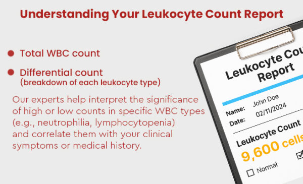 Leukocyte Count: Normal Levels, Testing & Procedures